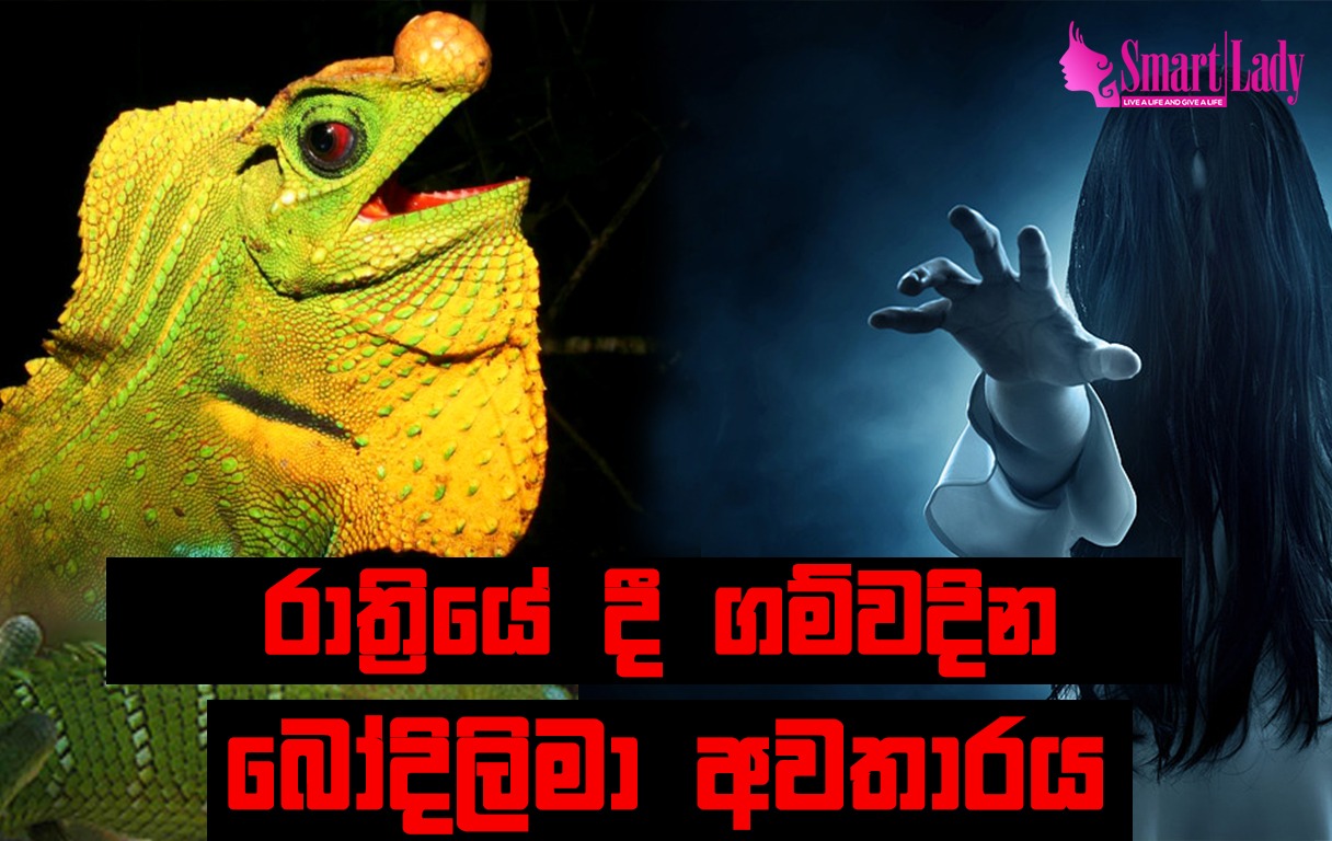 රාත්‍රියේදී ගම් වදින බෝදිලි අවතාරය සත්‍යයක්ද? - SmartLady
