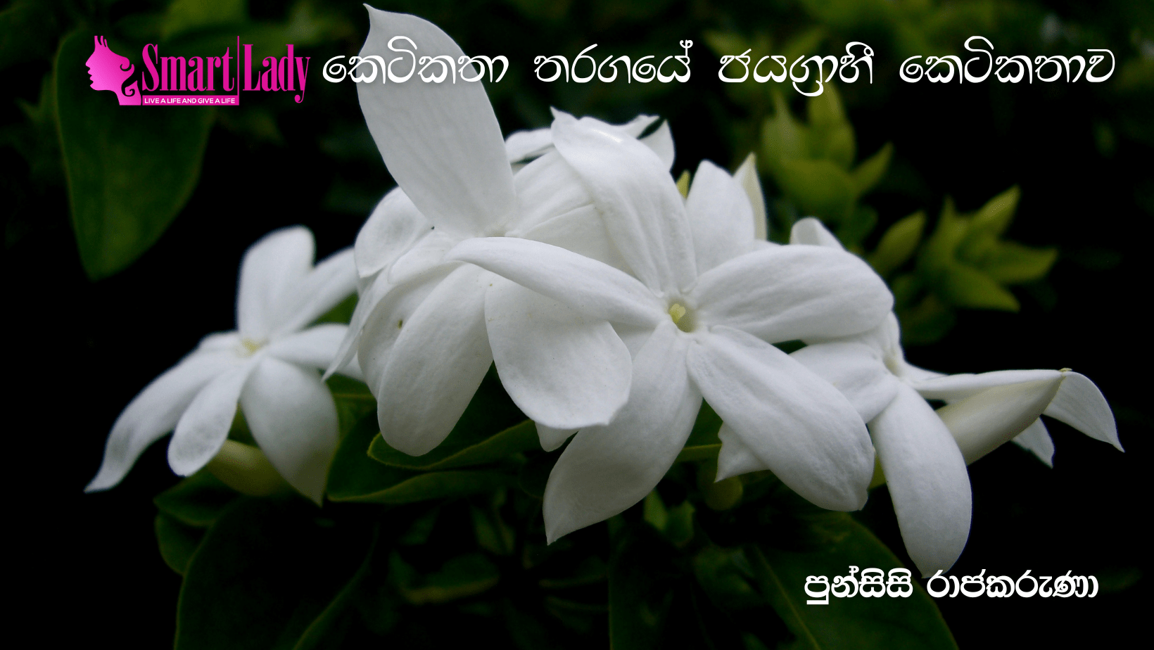 පිච්ච මල් - SmartLady
